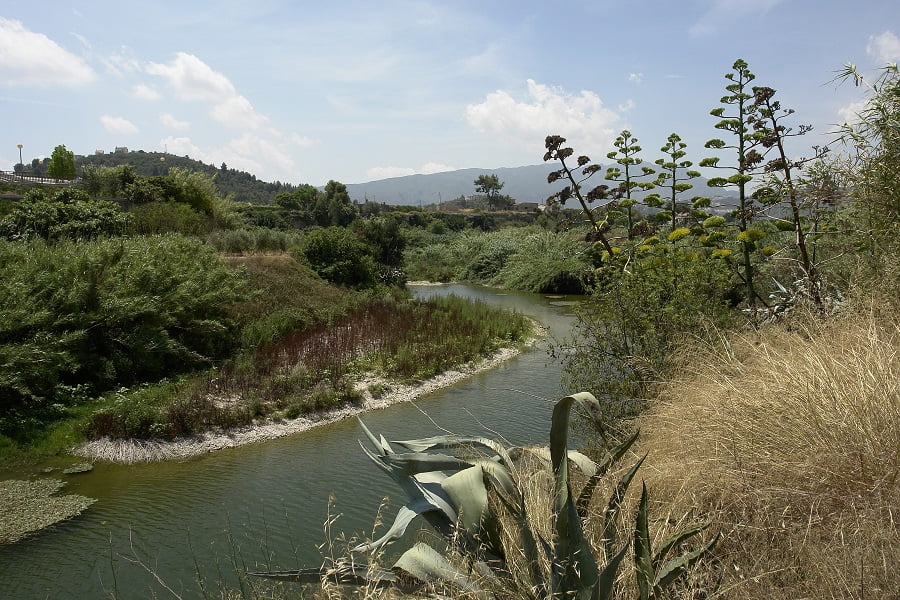 El río Serpis tiene sorpresa: la nueva "playa" de Potries